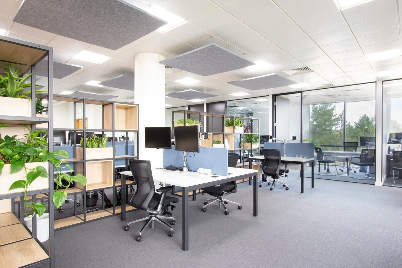 Biophilic Office Design: Tips To Design Your Office Interior